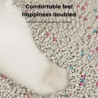 China OEM Eco Friendly Natural Clumping Bentonite Cat Litter Sands ODM for sale