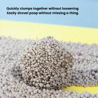 China OEM Eco Friendly Natural Clumping Bentonite Cat Litter Sands ODM for sale