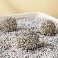 China Pet Low Tracking Clumping Cat Kitty Litter Odor Control Bentonite Clay Cat Litter for sale