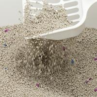 China Pet Cleaning Bentonite Clay LitterDust Free Clumping Cat Litter With Colored for sale