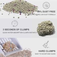 China Absorption Bentonite Cat Litter Fast Clumping Dust Multi Cat Households Cat Litter for sale