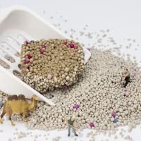 China Easy Clean Bentonite Clay Clumping Litter Dustless Non Sticky Bentonite Cat Litter 25kg for sale