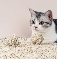 China Strong Clumping Mixed Cat Litter Dust Free - Tofu & Bentonite Blend with Strip and Ball Shape for Superior Absorbency for sale
