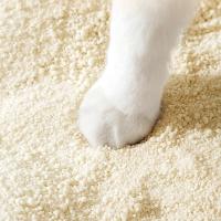 China Eco-Friendly Tapioca Cat Litter with Quick Water Absorption and Strong Clumping - Dust-Free Cassava Formula for sale