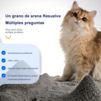China Fast Agglomerating Mineral Cat Litter Natural Sodium Based 0.5-2.5mm Low Dust Eco-Friendly Pet Litter for sale