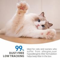 China Fast Agglomerating Mineral Cat Litter Natural Sodium Based 0.5-2.5mm Low Dust Eco-Friendly Pet Litter for sale