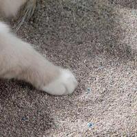 China Strong Clumping Ore Cat Litter 100% Dust Free Crushed Natural Grey Pet Litter with Superior Absorbency for sale