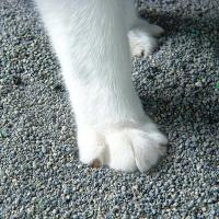 China Sodium Based Ore Cat Litter - 3x Absorbent Dust-Free Fast Clumping Pet Litter with Custom OEM Options for sale