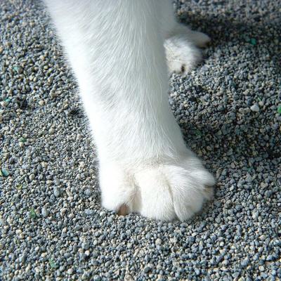 China Sodium Based Ore Cat Litter - 3x Absorbent Dust-Free Fast Clumping Pet Litter with Custom OEM Options for sale