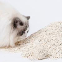 China 6L/2.5kg Tofu Cat Litter with Fast Water Absorption, Dust-Free Flushable Formula and Customizable 1.5-3mm Granules for sale