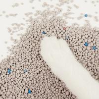 China Natural Bulk Bentonite Cat Litter Factory Supply OEM/ODM Ecological Natural Strong Clumping Cat Sand for sale