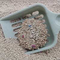 China Free Samples Arena Para Gatos Strong MSDS Certificate Clumping Bentonite Cat Litter Sand for sale
