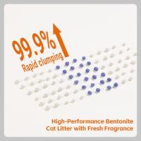 China Dust Free Bentonite Cat Litter with Fast Water Absorption and Strong Odor Control for Easy Clean for sale