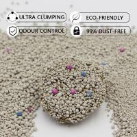 China Supplier OEM Strong Clumping Easy Clean Sodium Clay Cat Sand Dust Free Premium Bentonite Cat Litter for sale