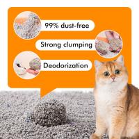 China Supplier OEM Strong Clumping Easy Clean Sodium Clay Cat Sand Dust Free Premium Bentonite Cat Litter for sale