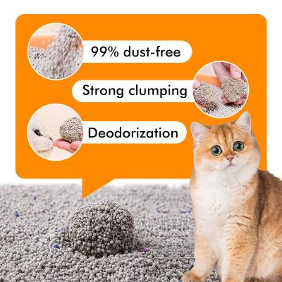 China Supplier OEM Strong Clumping Easy Clean Sodium Clay Cat Sand Dust Free Premium Bentonite Cat Litter for sale