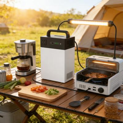 China Portable Solar Power Station 500W 1004.8Wh Pure Sine Wave MPPT Charging Home Emergency Backup for sale