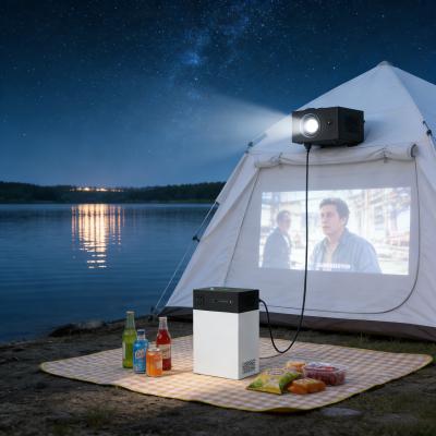 China All-in-One Off-Grid Solar Energy System 500W 1004.8Wh Lithium Iron Battery for sale