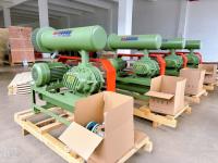 China 4.89-17.86m3/Min 100mm Port dia. Rotary 10KPA - 50 KPA Tri Lobe Roots Blower Reliable Aerator for sale