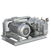 China BX200  8'' 36.52-77.85m³/min 0.1-0.6 kgf/cm² Stainless Steel Air Roots Blowers for sale