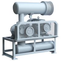 China Iron Custom Three Lobe Roots Blower 10-80kpa Discharge Differential Pressure for sale