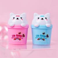 China Justgirl 6g Each Personalized Lip Balm Kids Lip Balm With Custom SPF for sale