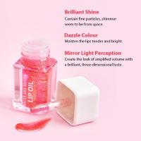 China Delicate Natural Lip Oil Transparent Flavored Lip Oil Customizable for sale