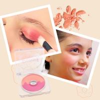 China Exquisite Donut Eyeshadow Palette 4.2g Matte Powder Eyeshadow BSCI Certified for sale