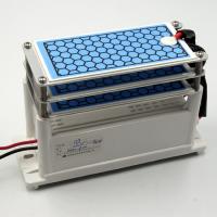 China AC 220V 15g/hr Ceramic Ozone Plate For Ozone Disinfection Machine for sale