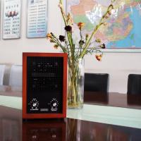 China Wood Home Ozone Machine Air Purifier Ozone Generator 500mg CE Approved for sale