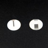 China Mini Ceramic Ozone Plate 15mg/H 110V 220V For Ozone Machines for sale