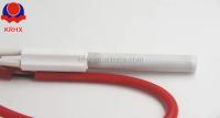 China Ceramic Ignition Resistance/spark Plug for Boiler burner B-MAX for sale