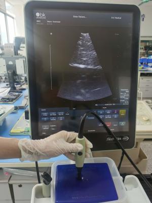 China Bk Medical Ultrasound Probes Medical Ultrasound Transducer Companies for sale