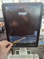 China Top BK Medical Surgical Ultrasound For Medical Diagnose BK 8666 Laparoscopic Probe Repair Probe for sale