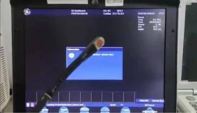 China High End New Ultrasound Probe GE 6Tc RS Medical Ultrasound TEE Transducer for sale