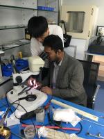 China New Edition Rigid And Flexible Endoscope Repairs Training Course Endoscope Service program for sale