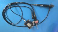 China Flexible endoscope Olympus BF-UC260F-OL8 Bronchoscope on sale for sale