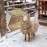 China Wall Mount Hay Rack for Livestock Feeding Livestock Feeder Hay Feeder Bracket Included for sale