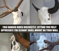 China European Mount Skull Hanger, Large Euro Mount Deer Skull Hangers for Buffalo, Pronghorn, Skull Wall Mount Bracket Hangers for sale