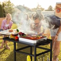 China Metal Plant Fiber Type Outdoor Grill Cart Double-Shelf BBQ Table with Multifunctional for sale