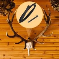 China European Style Skull Hanger Customized Logo Original Animal Skull Wall Mount Bracket for sale