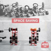China Galvanized 5 Tier Dumbbell Rack Stand for Home Gym Weight Training Powder Coated for sale
