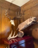 China Tolerance 0.02 Wall Mount Deer Skull Hooker Multifunction Mount for Hanging Deer Head for sale
