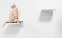 China Triangle Bracket Metal Cat Shelf Wall Mounted for Curved Cat Bed Furniture and Resting for sale