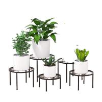 China Powder Coated Iron Plant Shelf Heavy Duty Round Rack for Outdoor and Indoor Plants Ideal for sale