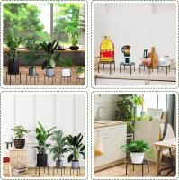 China Powder Coated Iron Plant Shelf Heavy Duty Round Rack for Outdoor and Indoor Plants Ideal for sale