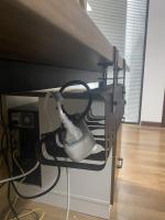 China Cable Management System with this Desk Cable Wire Organizer and Storage Holders Racks for sale