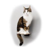 China Cat Wall Shelves Furniture Bracket for Climb and Scratching Standard Size Brushing Rack for sale