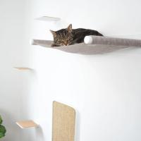 China Wall Mount Multi-Layer Cat Post for Climb and Scratch Ideal for Multi-Cat Households for sale