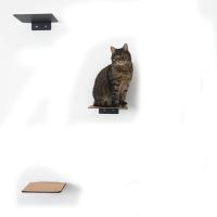 China Modern Metal Cat Room Wall Seat with Stamping Parts Installation Wall Mount Pre Drill for sale